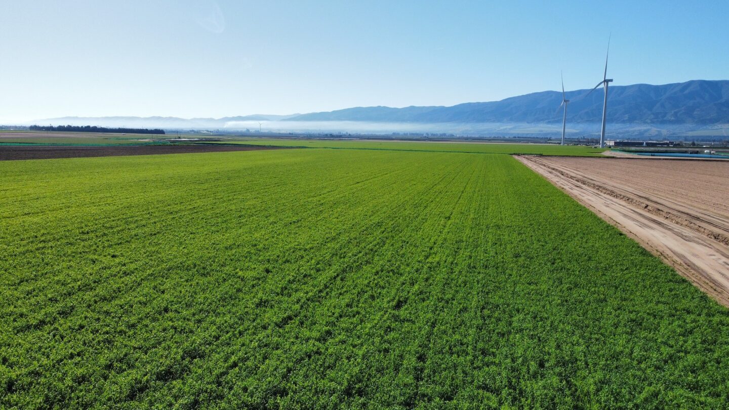 Regenerative Trials - Braga Fresh