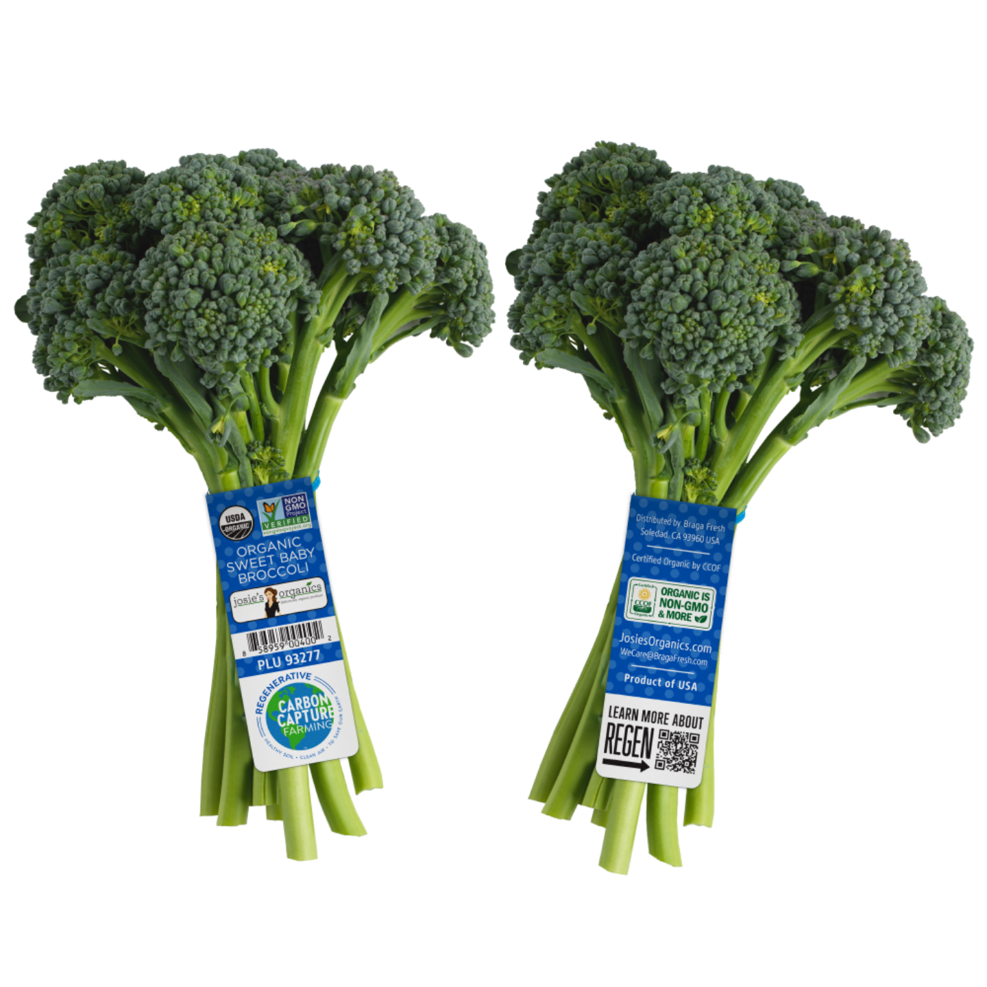 Regenerative Trials - Braga Fresh